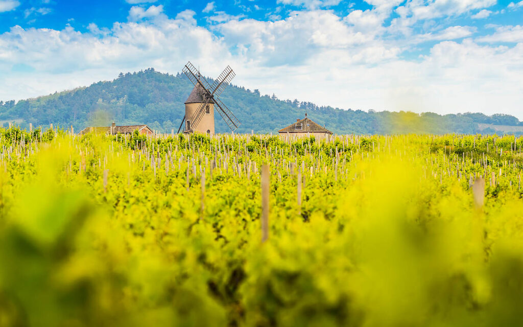 Rhône Valley Wine Region - Welcome.fr